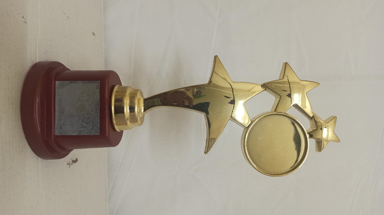 Unique Trophy | A Unique manner to showcase your pride